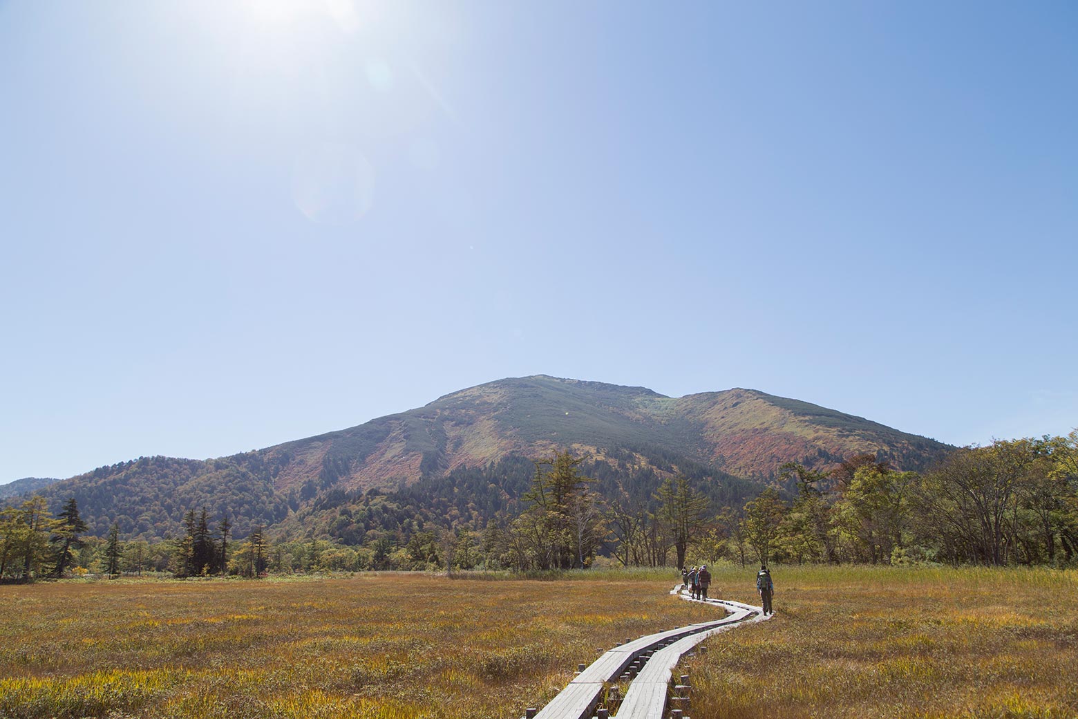 Tochigi | Around Tokyo