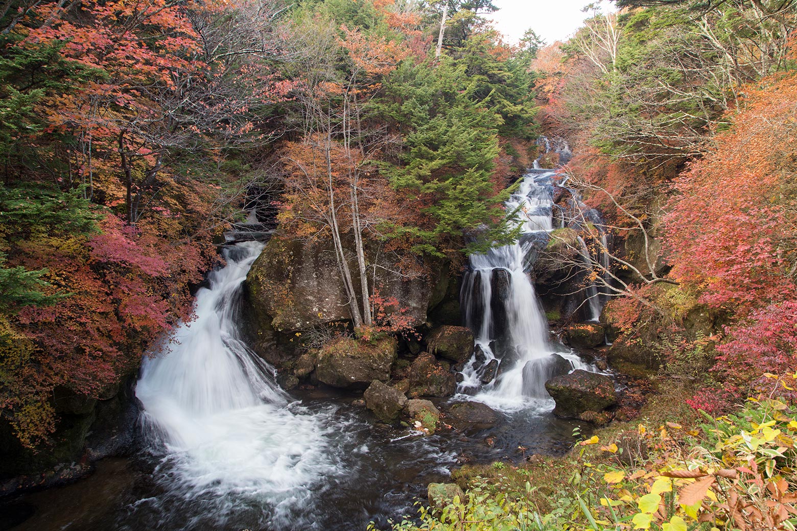 Tochigi | Around Tokyo